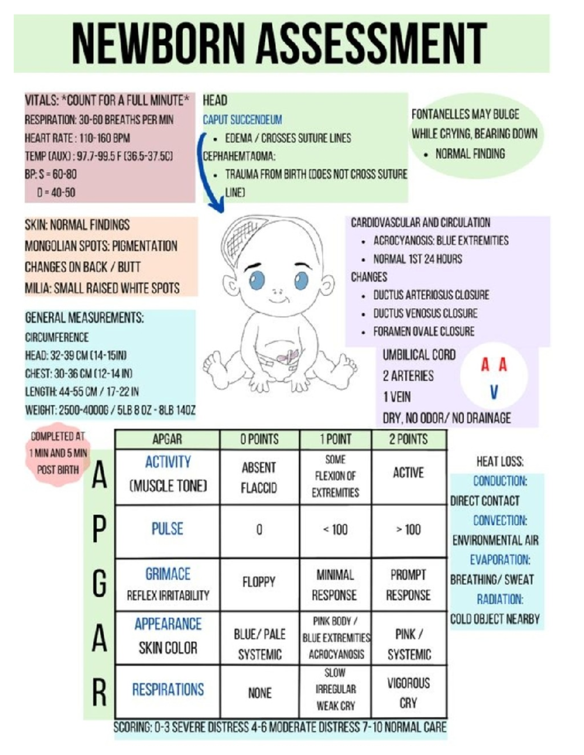 Newborn Assessment-3 - Nur 201 Fortis exam1/concept guide. Lecture ...