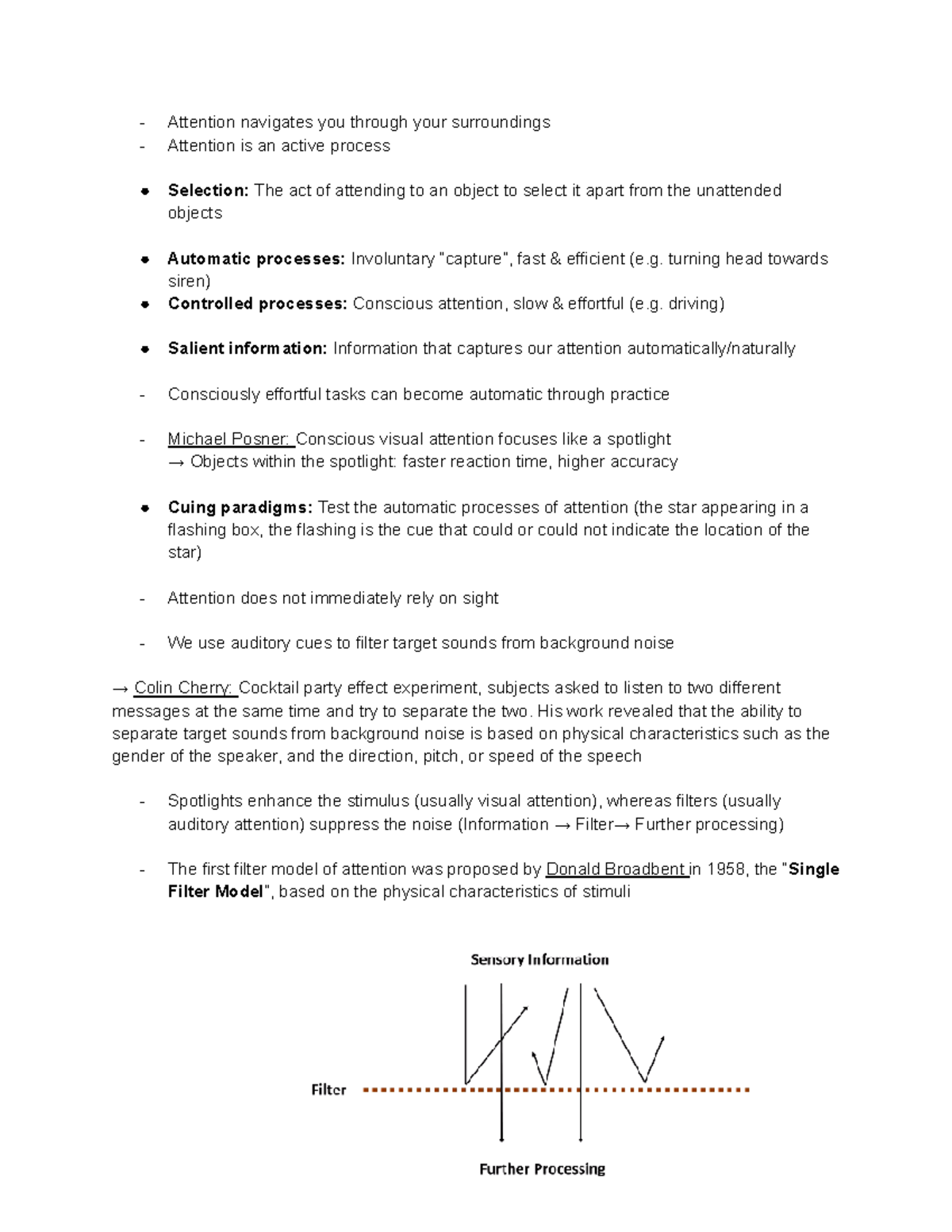 Attention Notes - Attention navigates you through your surroundings ...