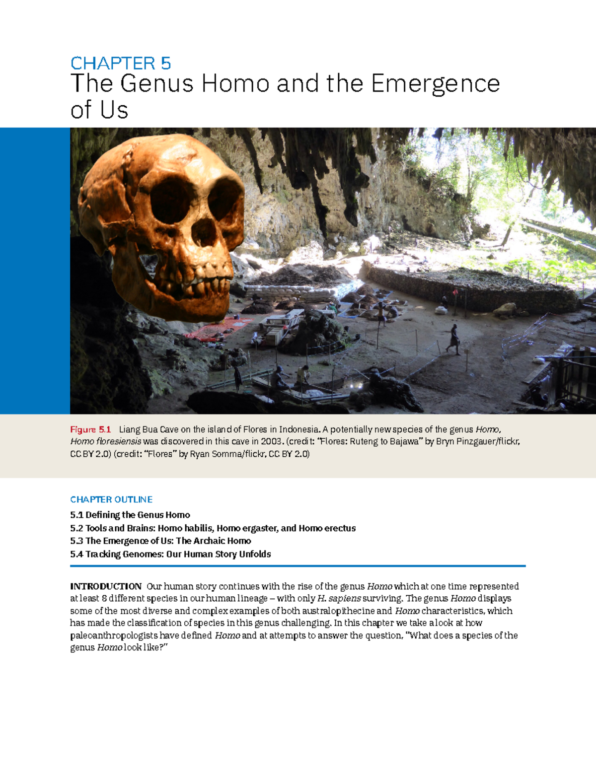 Chapter 5 The Genus Homo and the Emergence of Us Part 1 - INTRODUCTION ...