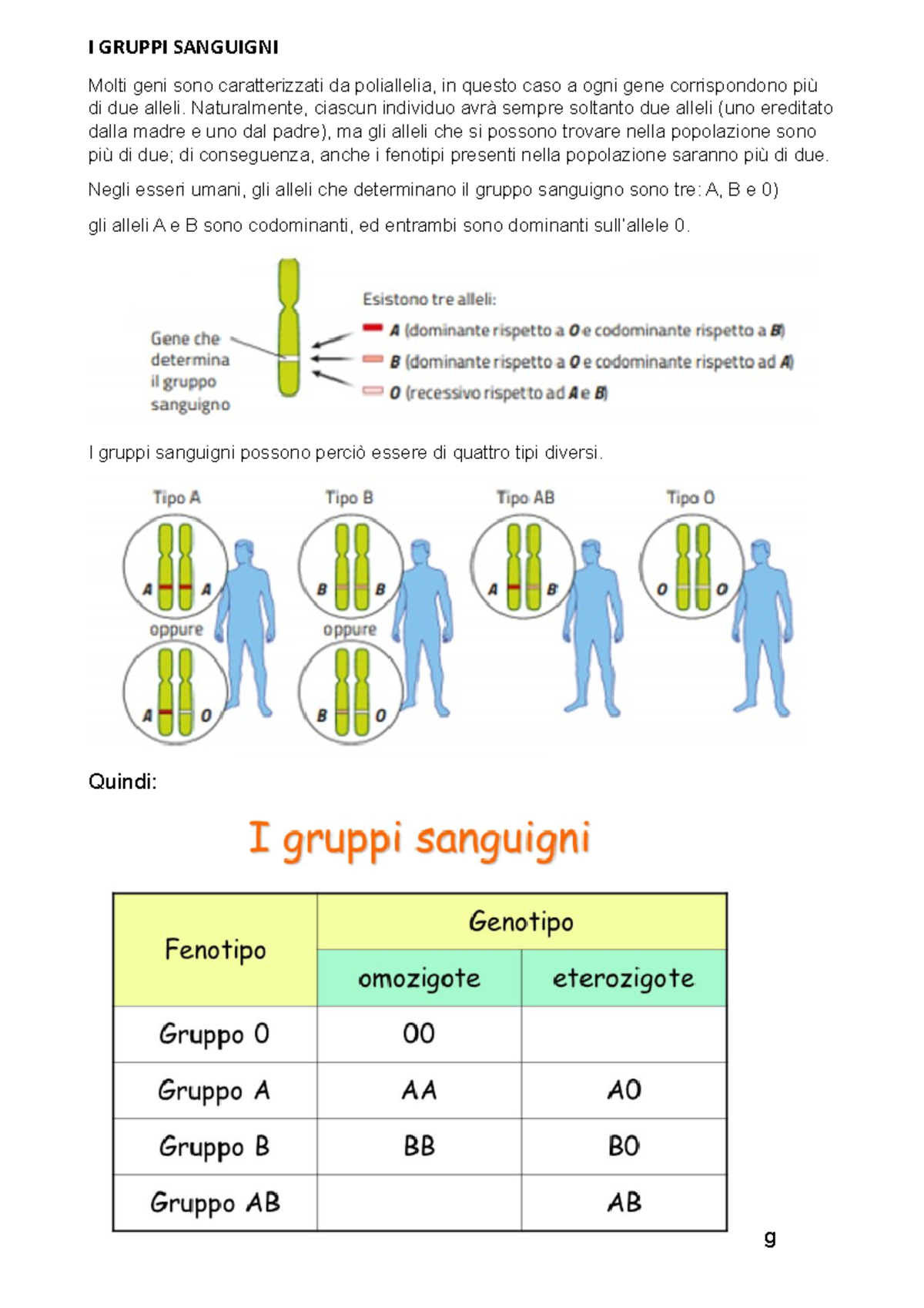 Compito Genetica 3B - I GRUPPI SANGUIGNI Molti geni sono caratterizzati ...