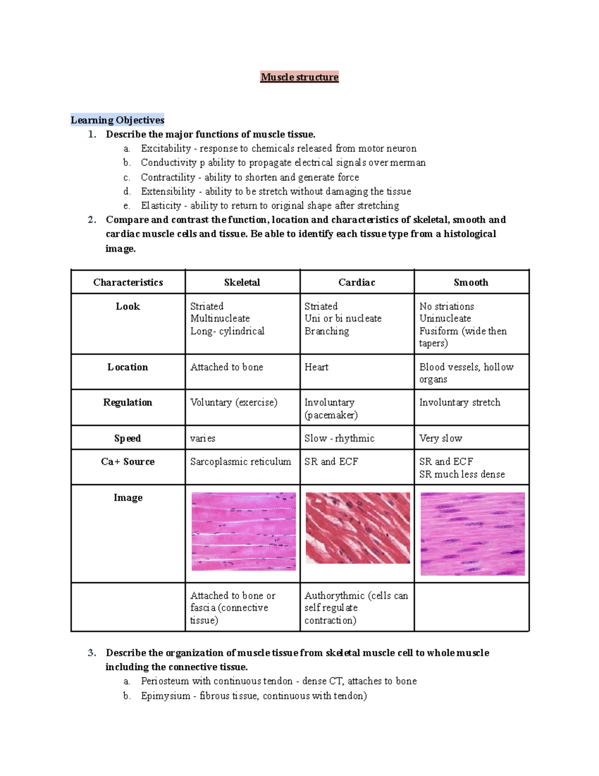 BIO OBJ - Anatomy and Physiology - Muscle structure Learning Objectives ...