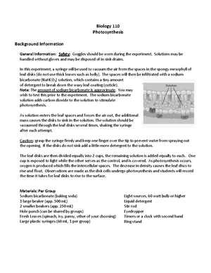 BIOL 110 Introduction to Microscopy - BIOL 110 LAB-2 USING MICROSCOPES ...
