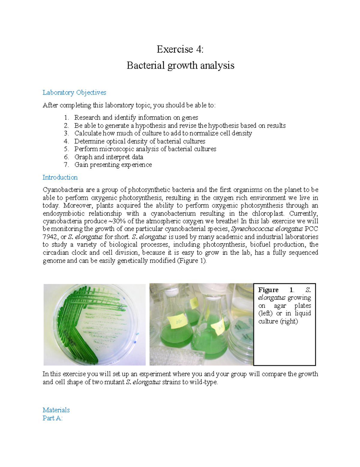 Bacterial Growth Analysis + worksheet v2 - Exercise 4 : Bacterial ...