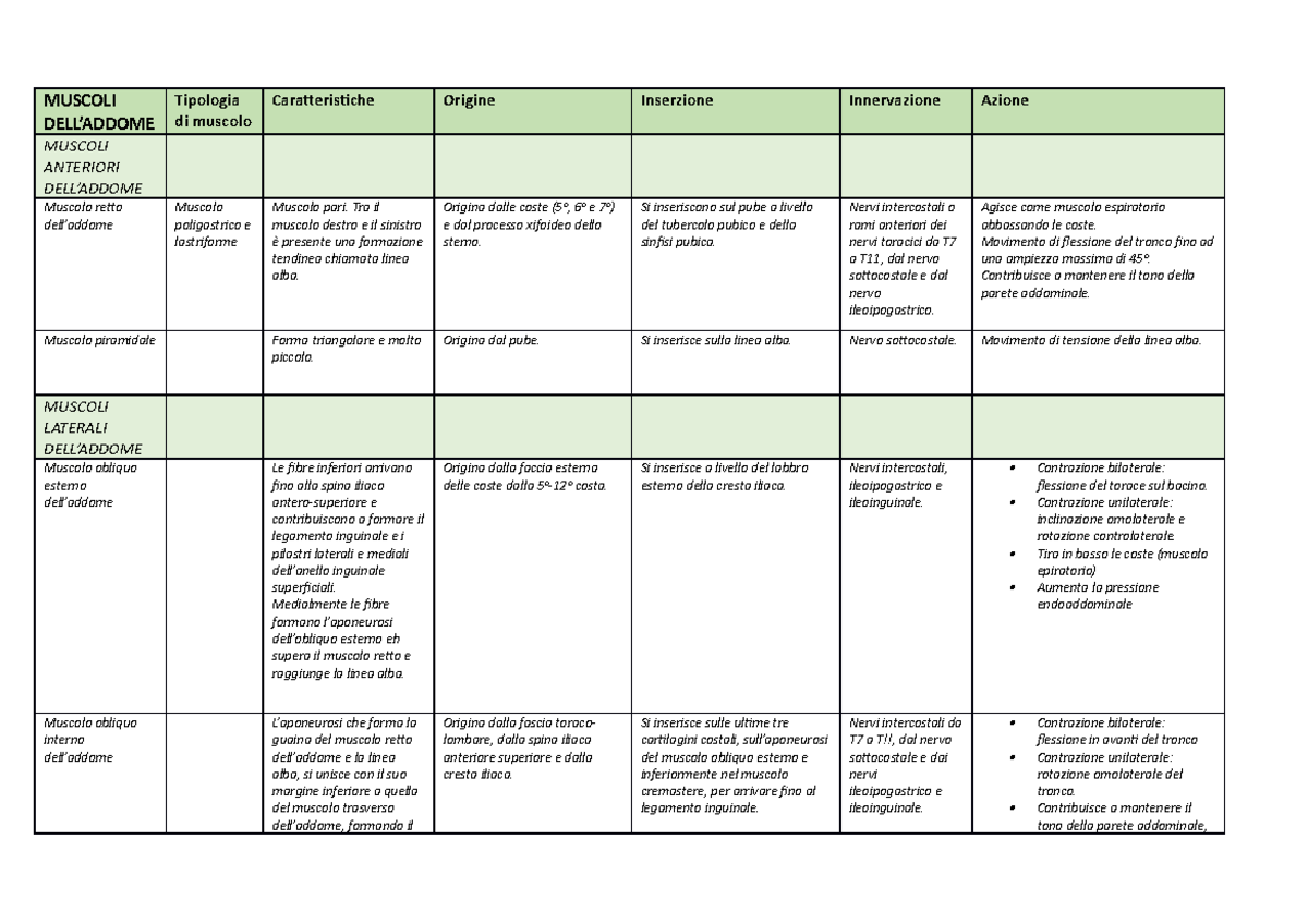 Muscoli DELL' Addome - Anatomia Funzionale - UniPr - Studocu