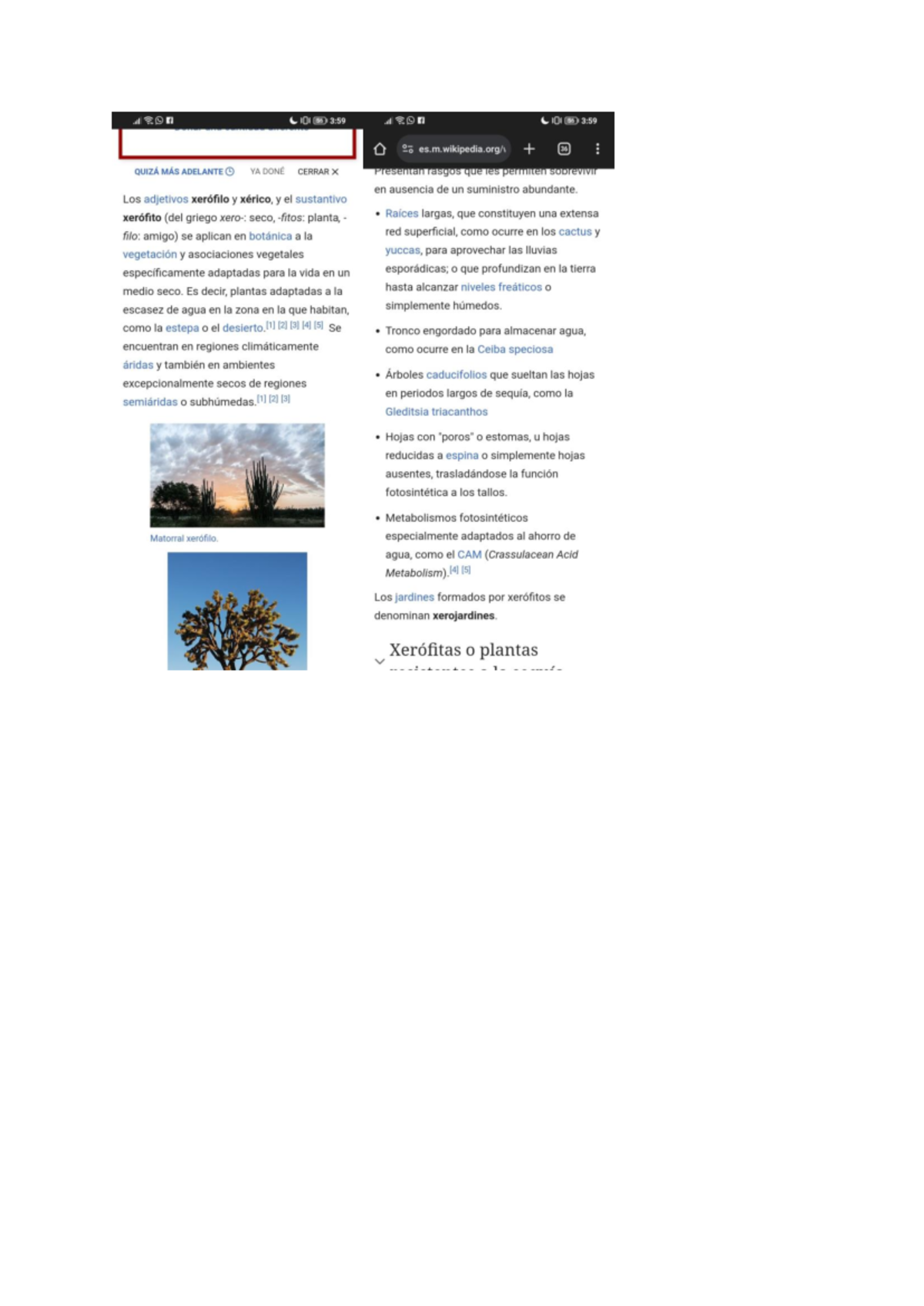 Documento 17 - hjjjG - Historia de la comunicación - Studocu