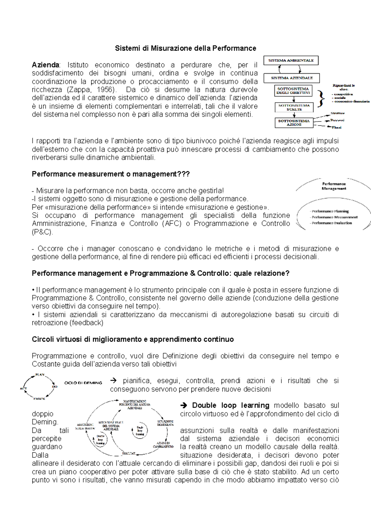 Sistemi di Misurazione della Performance - Da ciò si desume la natura ...