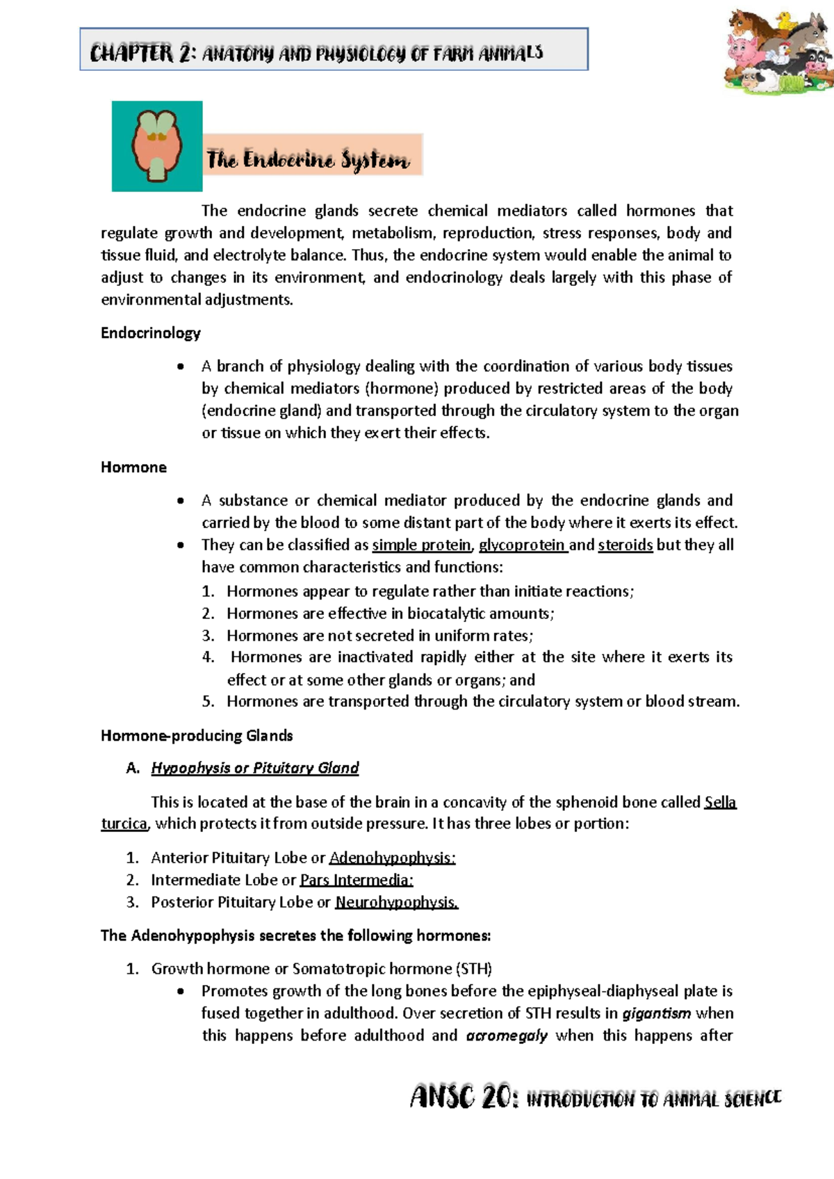 Endocrine System - Use as reference material - The Endocrine System The ...
