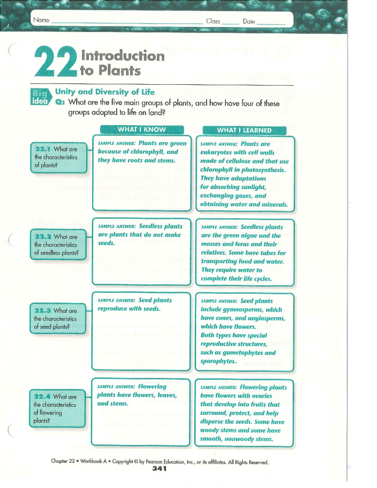 Plant workbook pages answers - Name Class Date 22 Introduction to ...