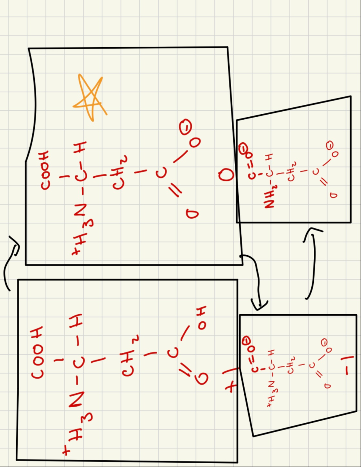 Equilibrium - Chem ionization states - CHEM 1050 - COOH COOH I + H N-C ...
