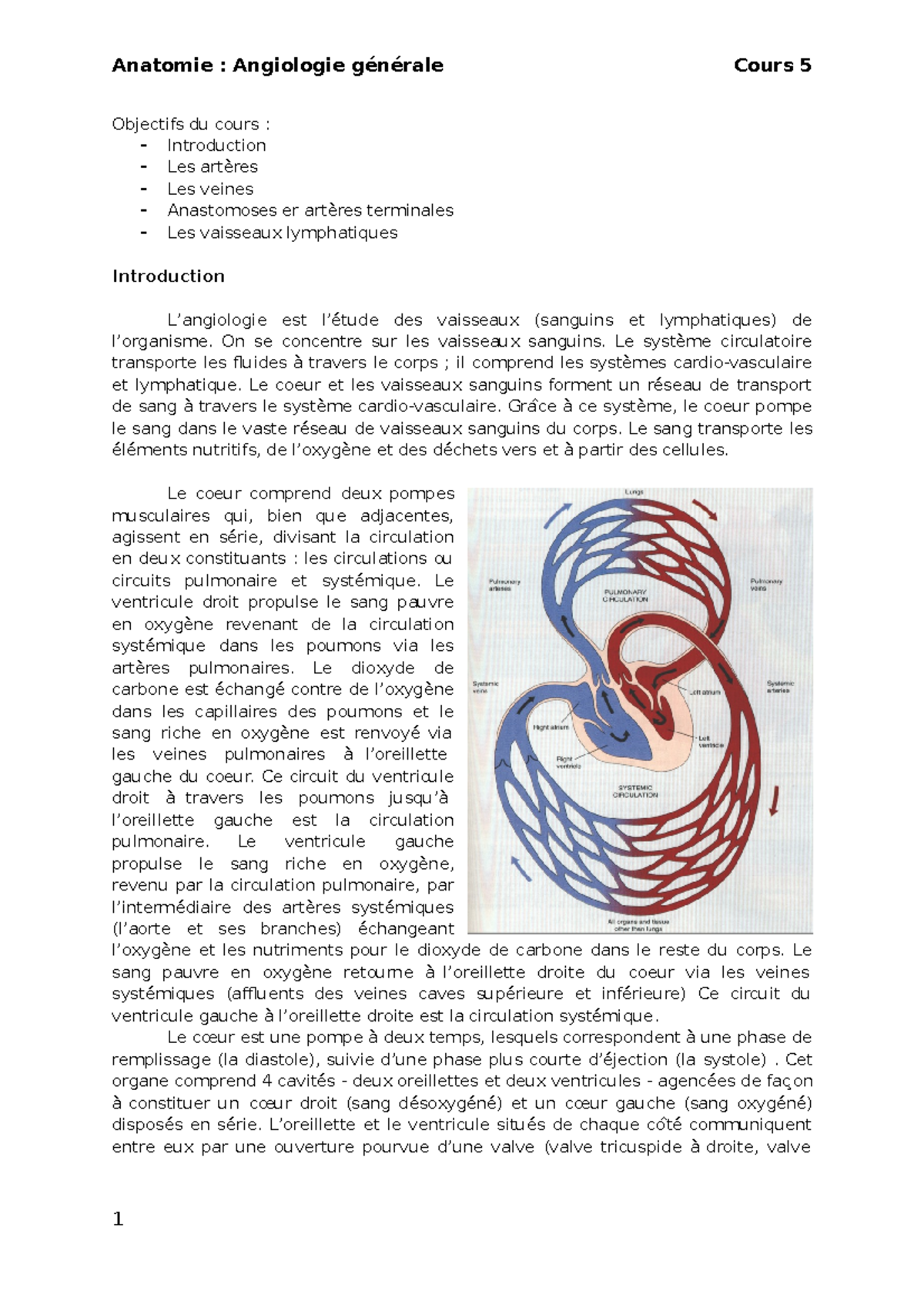 5. Anatomie - Angiologie générale - Objectifs du cours : - Introduction ...