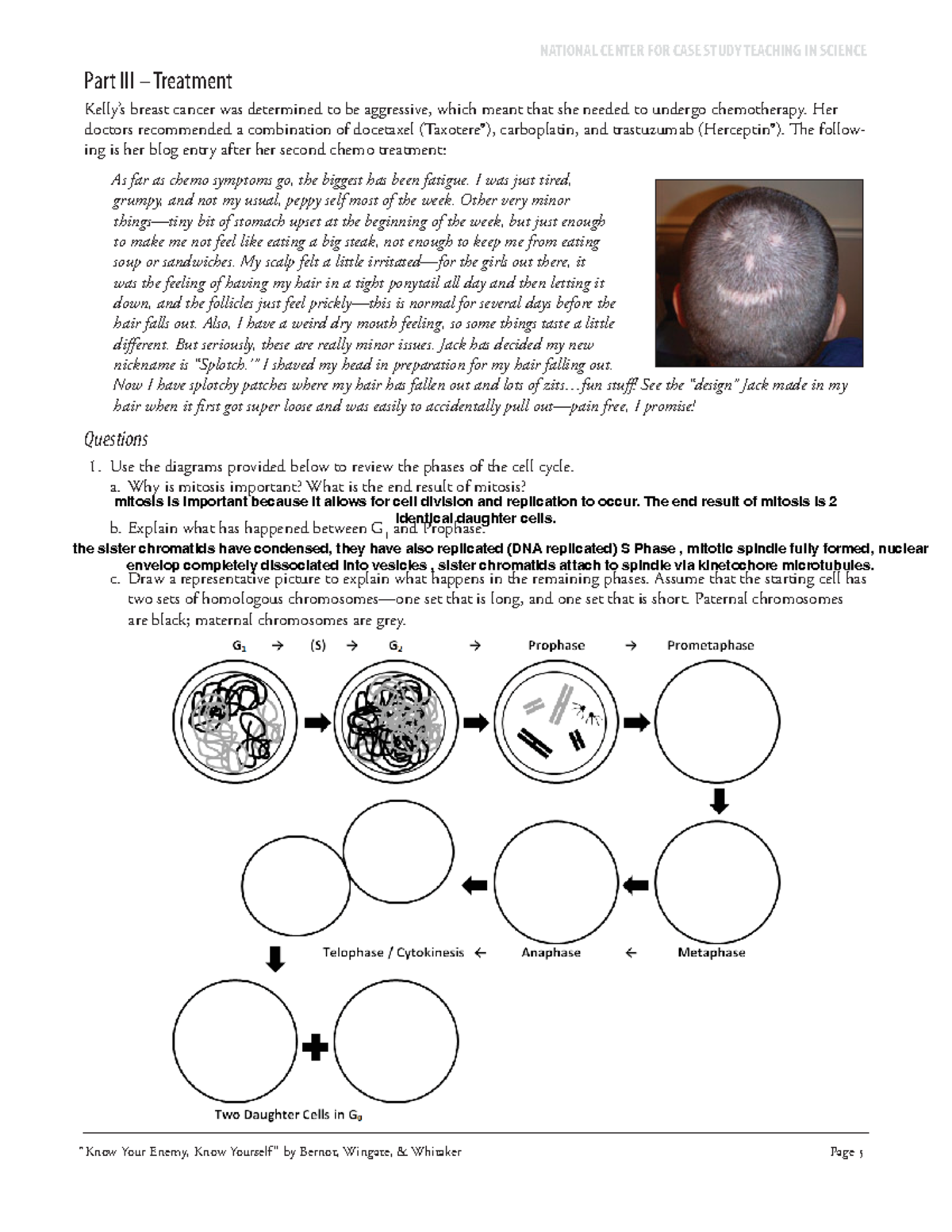 Breast Cancer case study Pts. 3 and 4 - Part III – Treatment Kelly’s ...