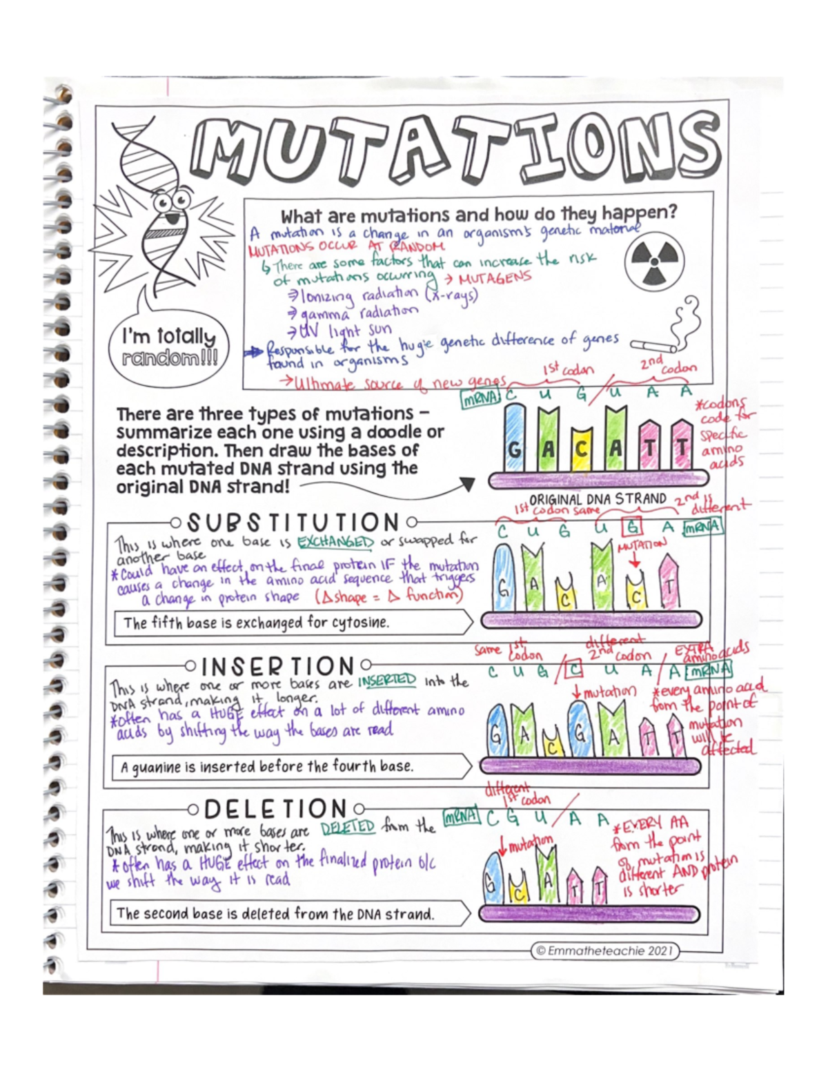 Mutation Doodle Notes - Studocu