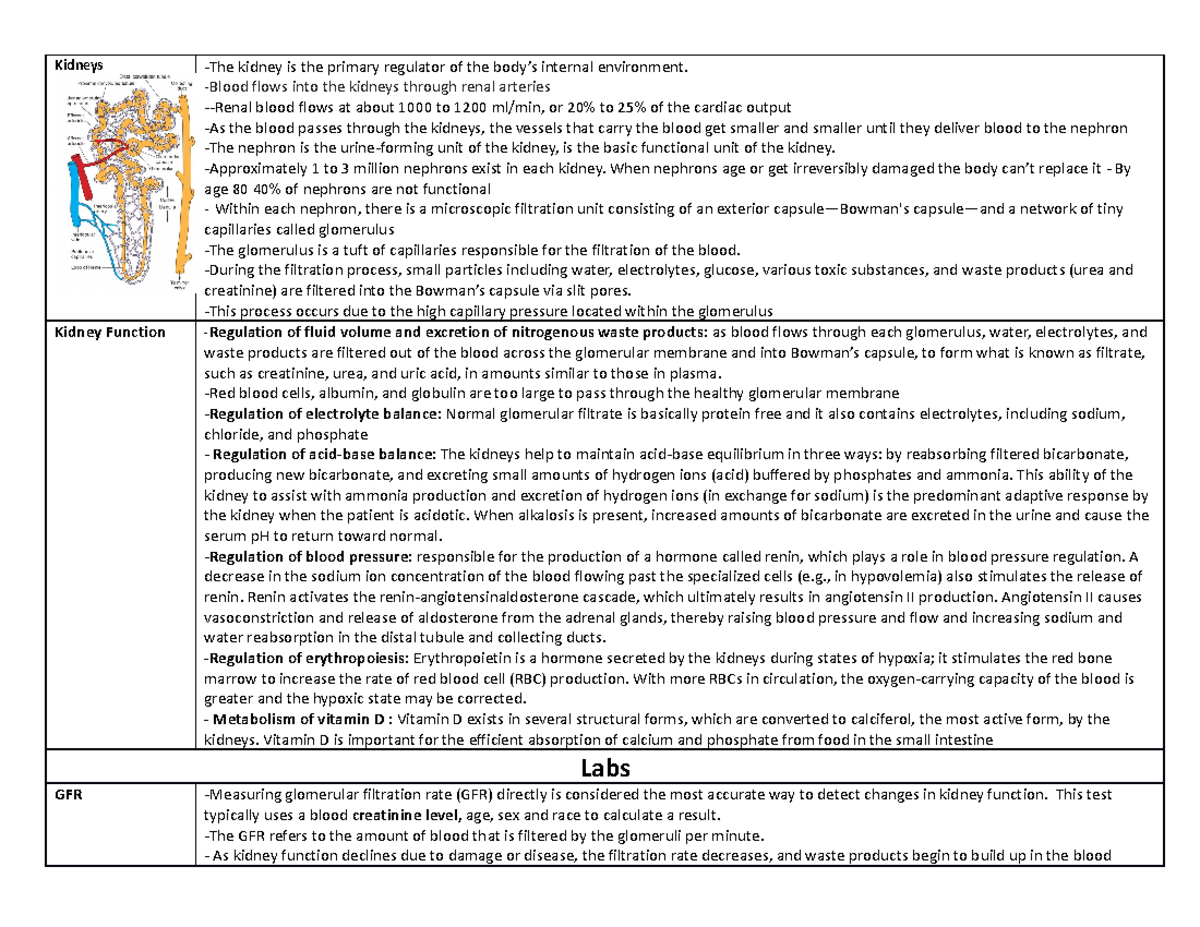 Kidney notes fall 2021 - Kidneys -The kidney is the primary regulator ...