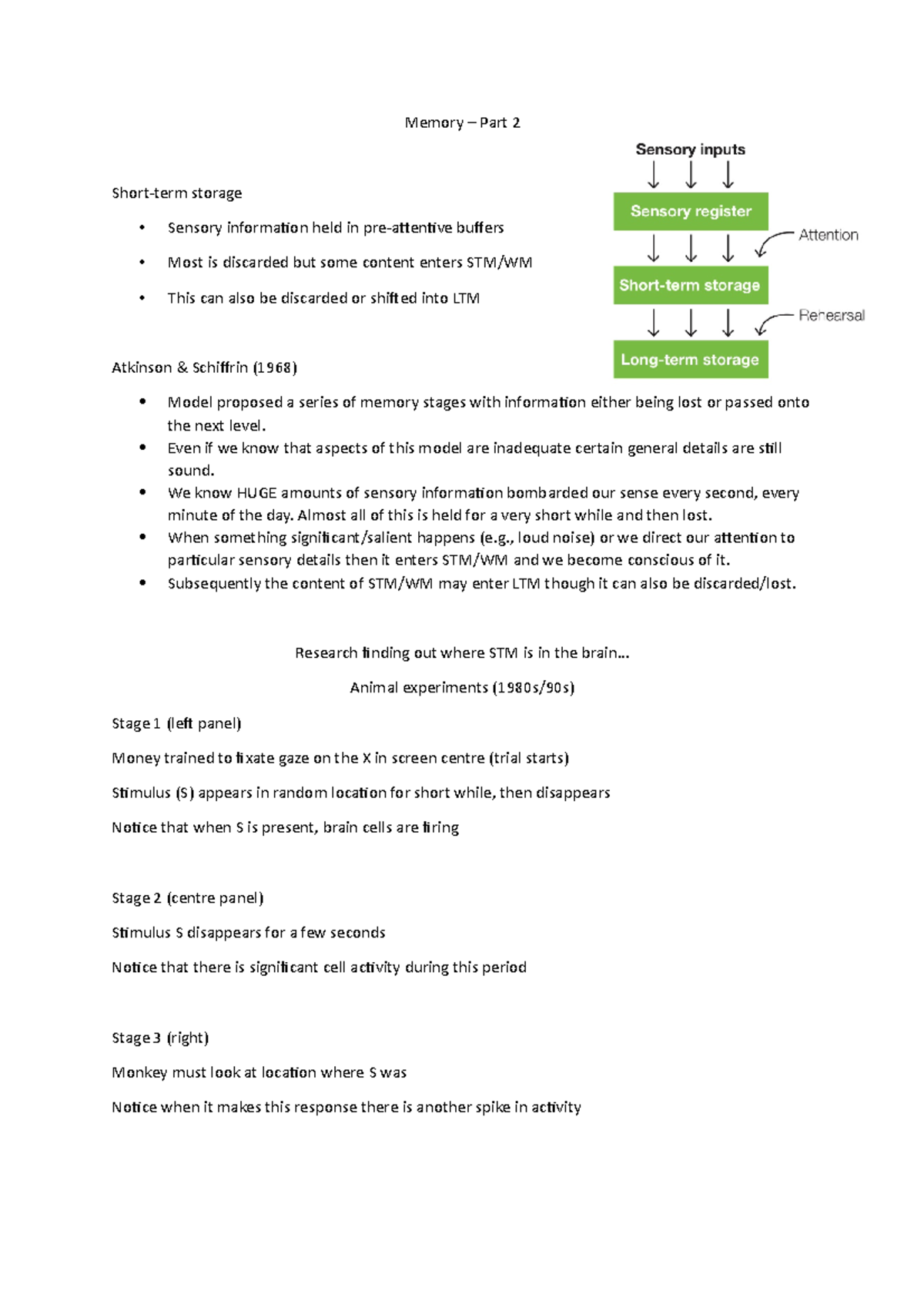 Memory bio psych - Memory – Part 2 Short-term storage Sensory ...