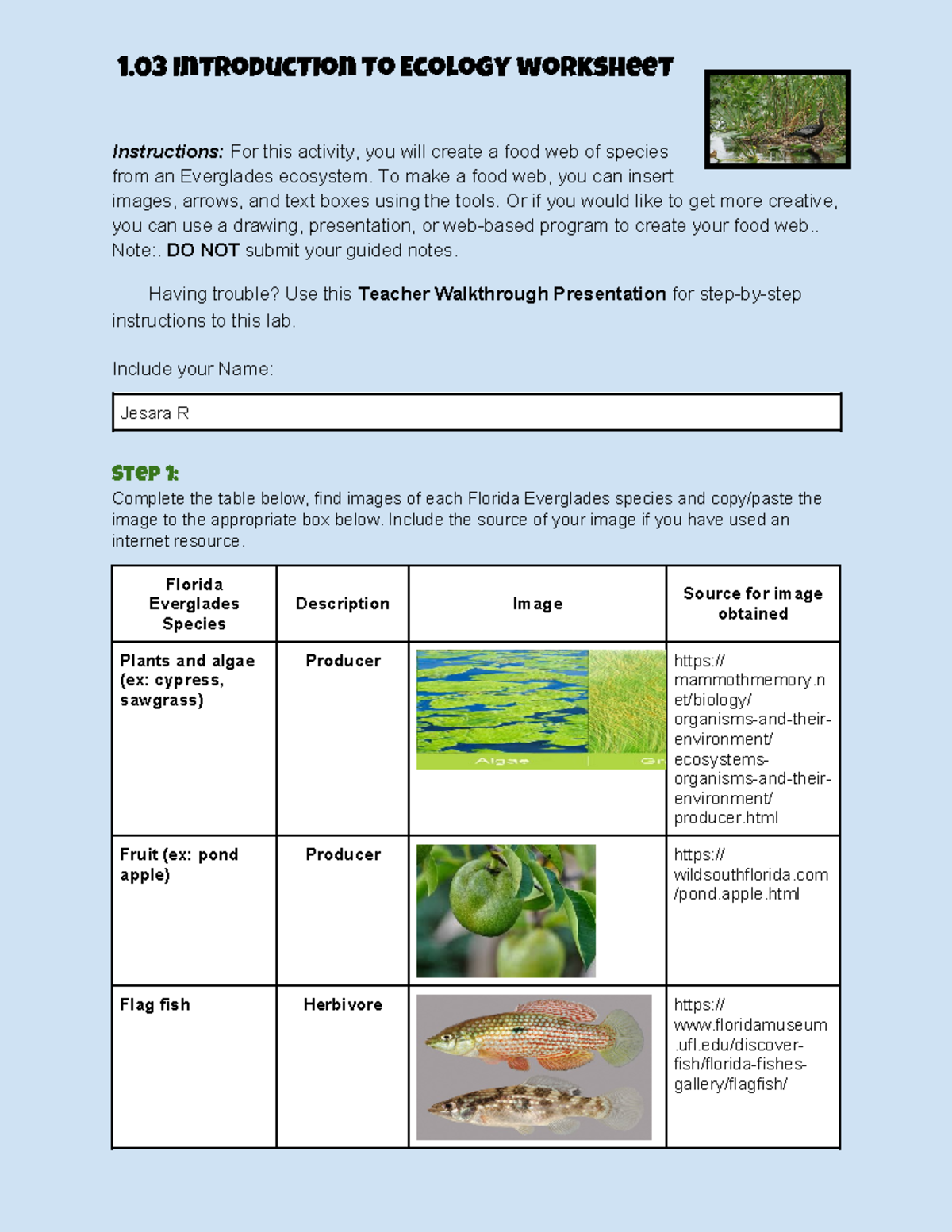 Copy of Copy of 1.03 Introduction to Ecology Lab Report - 1 ...