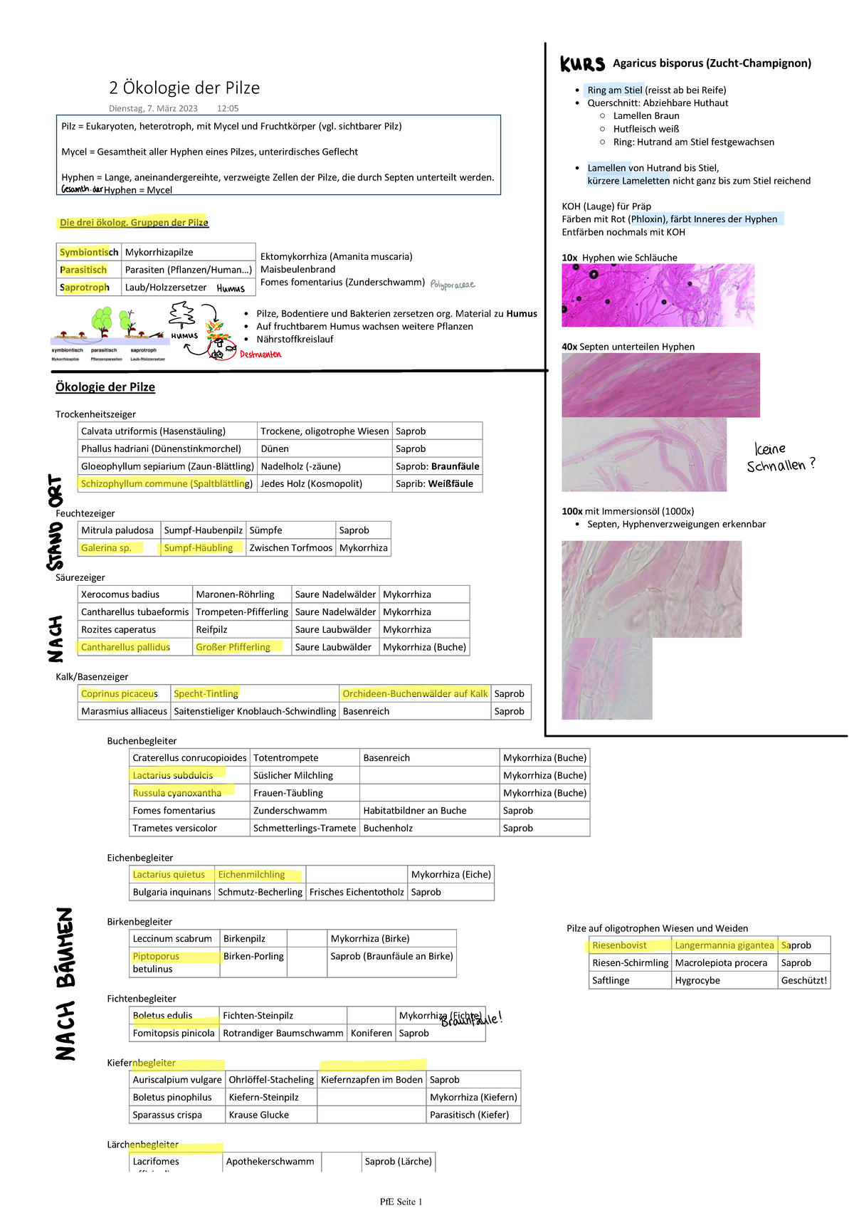 PfE Vorlesung 2 Ökologie der Pilze - Pilz = Eukaryoten, heterotroph ...