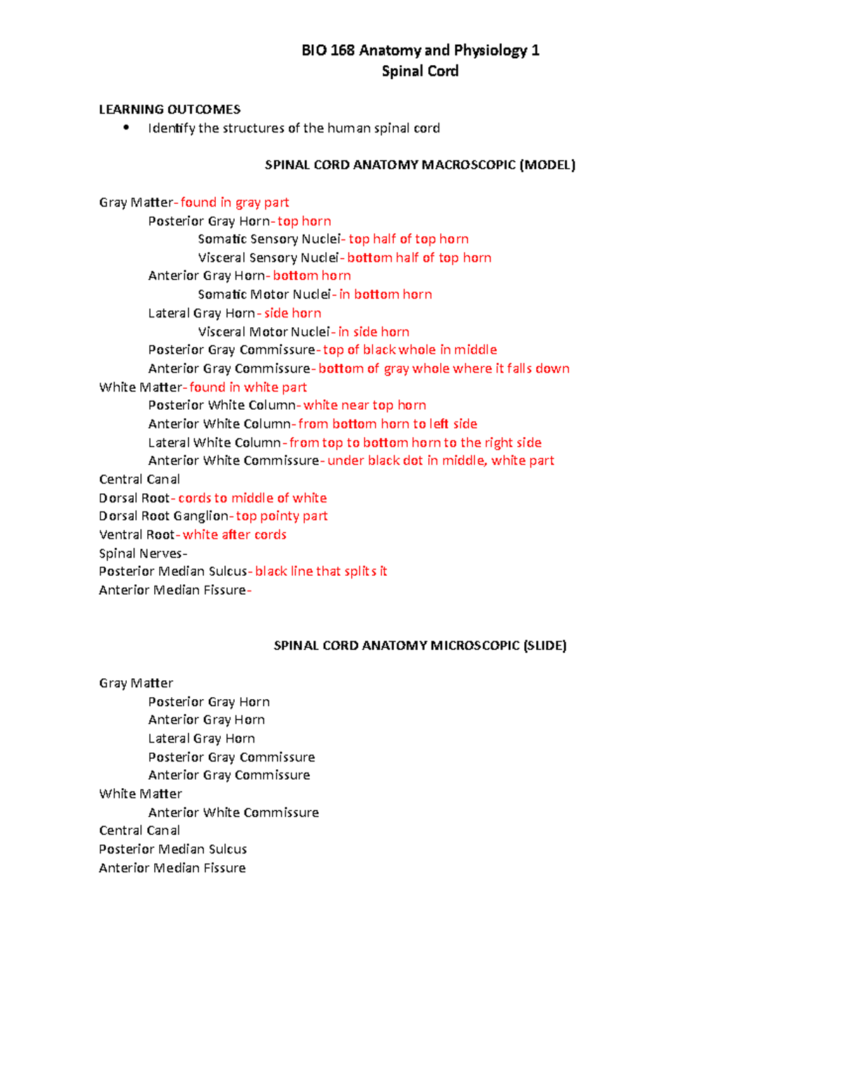 BIO 168 Spinal Cord - BIO 168 Anatomy and Physiology 1 Spinal Cord ...