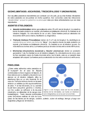 Fisiología de la Formación y características Generales de las heces ...