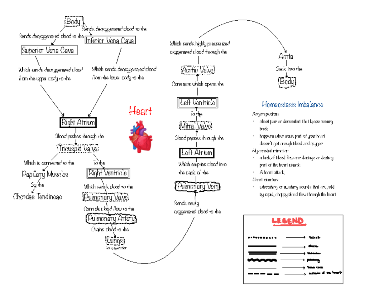 Concept Map - Heart ####### Body Sends deoxygenated blood to the ...