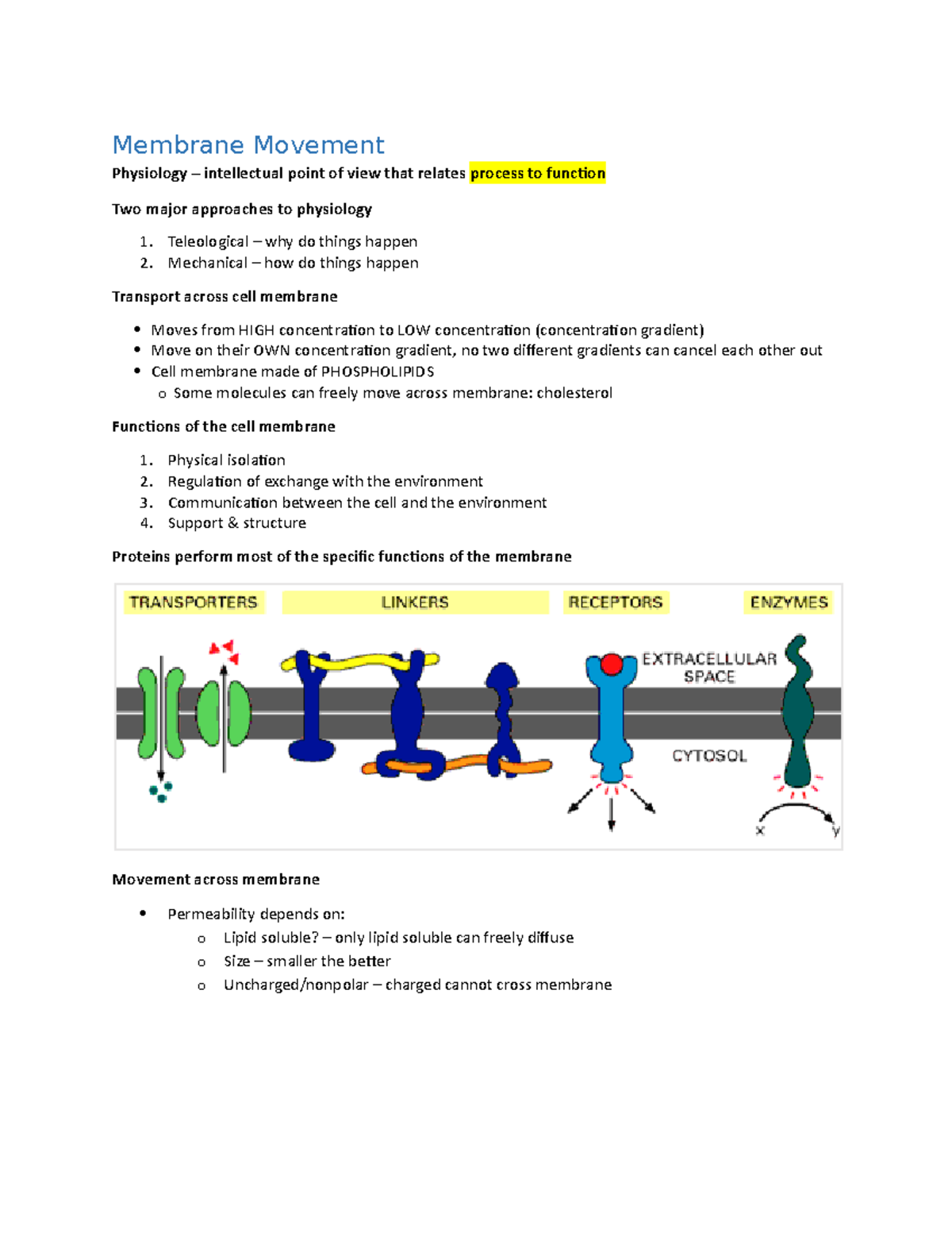 Exam 1 Review - Membrane Movement Physiological - With Answers ...