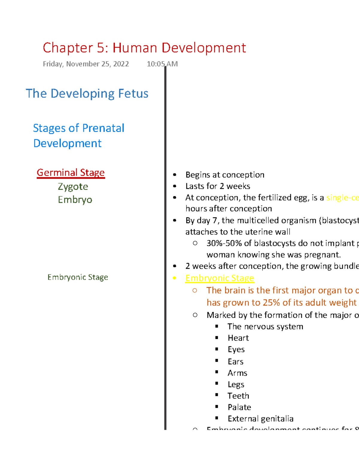 Chapter 5 Human Development - The Developing Fetus Stages of Prenatal ...