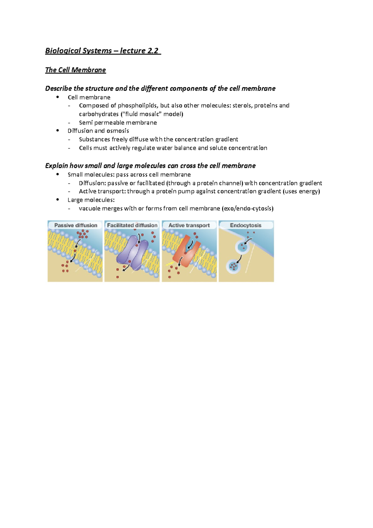 Biological Systems Lecture 2 - Biological Systems – lecture 2. The Cell ...