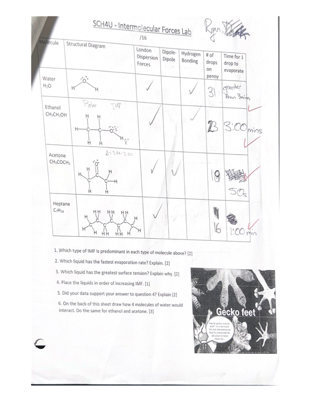 Grade 12 Chemistry Intermolecular Forces Practice Questions Studocu