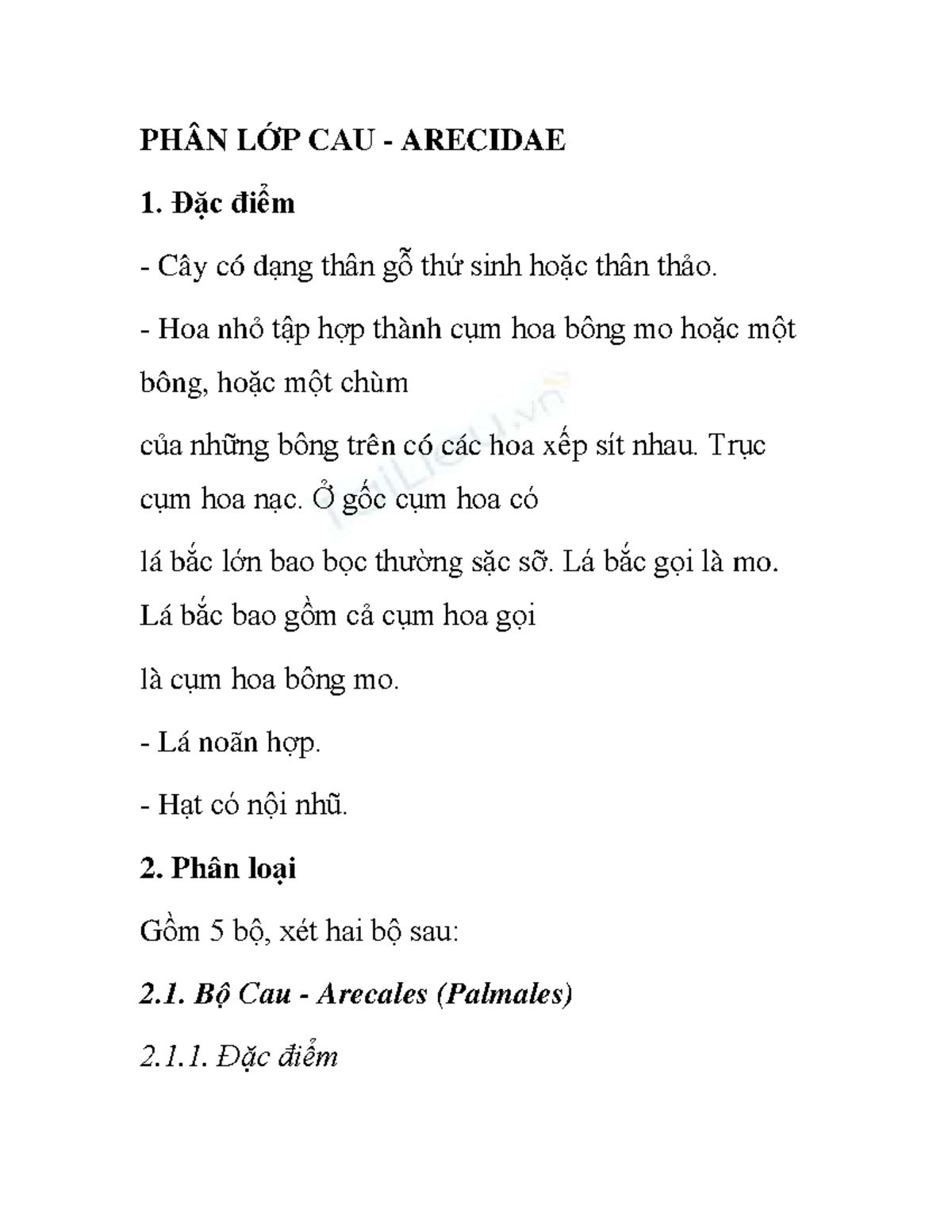 PHAN LP CAU Arecidae - phan lp - PHÂN LỚP CAU - ARECIDAE Đặc điểm Cây ...