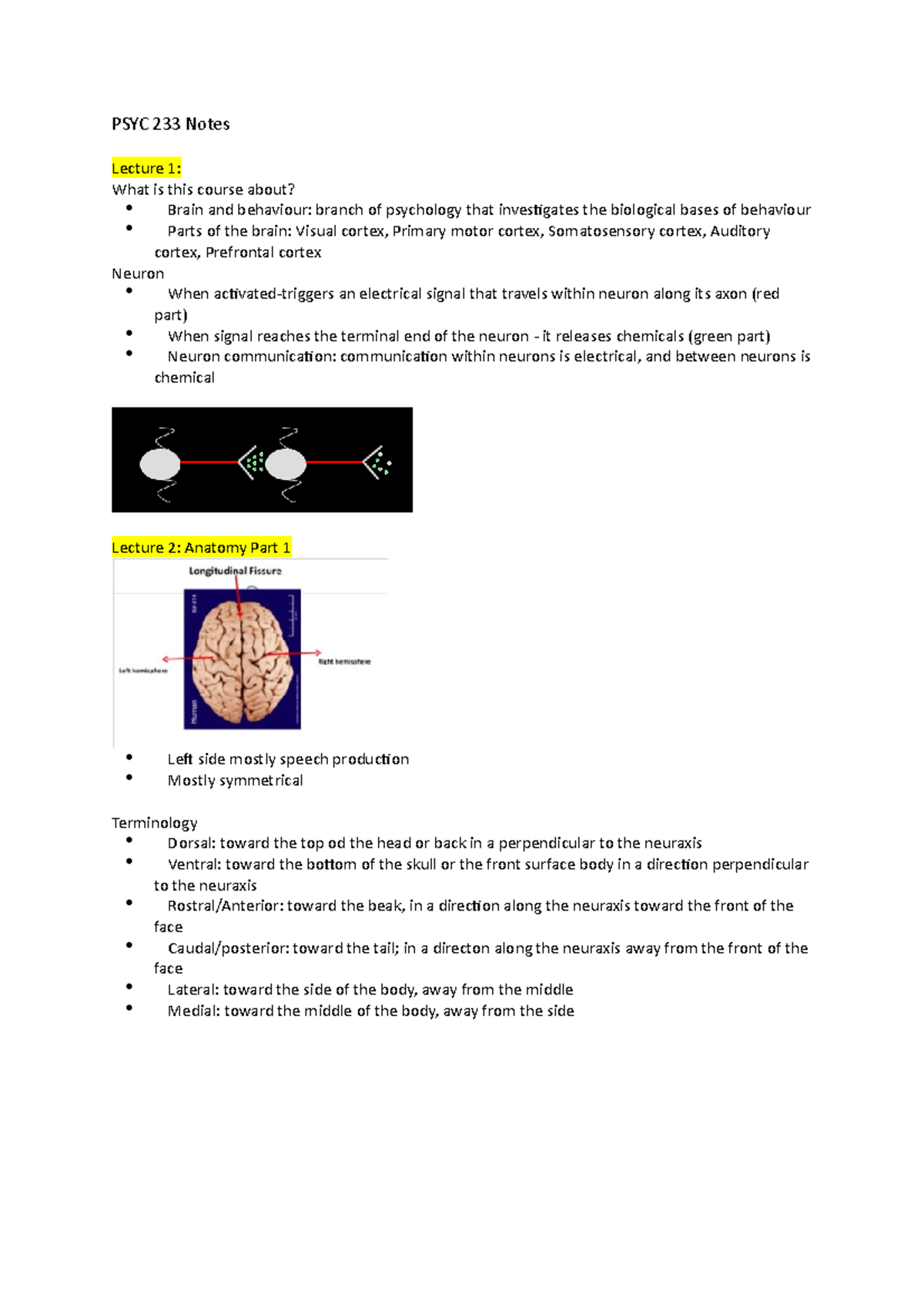 Psyc 233 Notes Psyc 233 Notes Lecture 1 What Is This Course About Brain And Behaviour