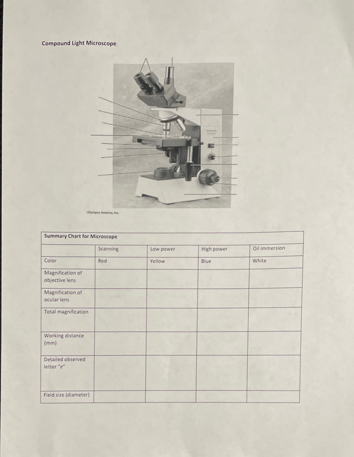 Blank microscope - . . - Compound Light - Studocu