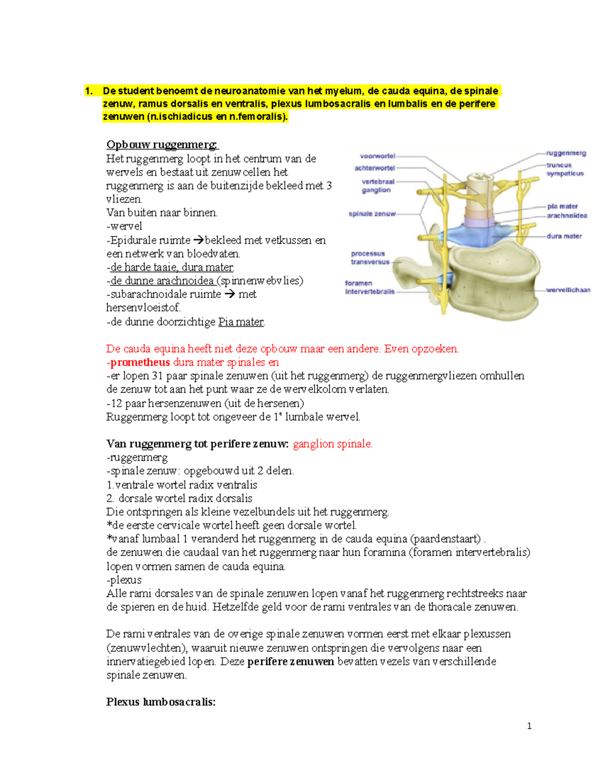 Anatomie wervelkolom - 1. De student benoemt de neuroanatomie van het ...