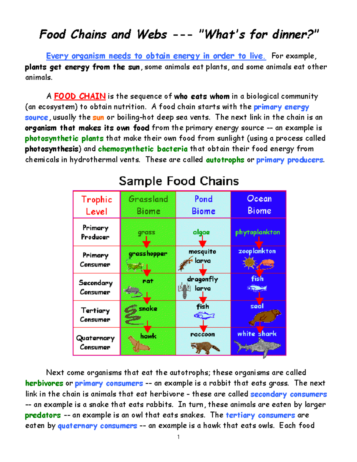 Food chain study guide - Student literacy review. - Food Chains and ...