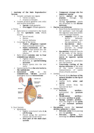 Cell membrane - awe - Cell membrane-Function: biological membrane that ...