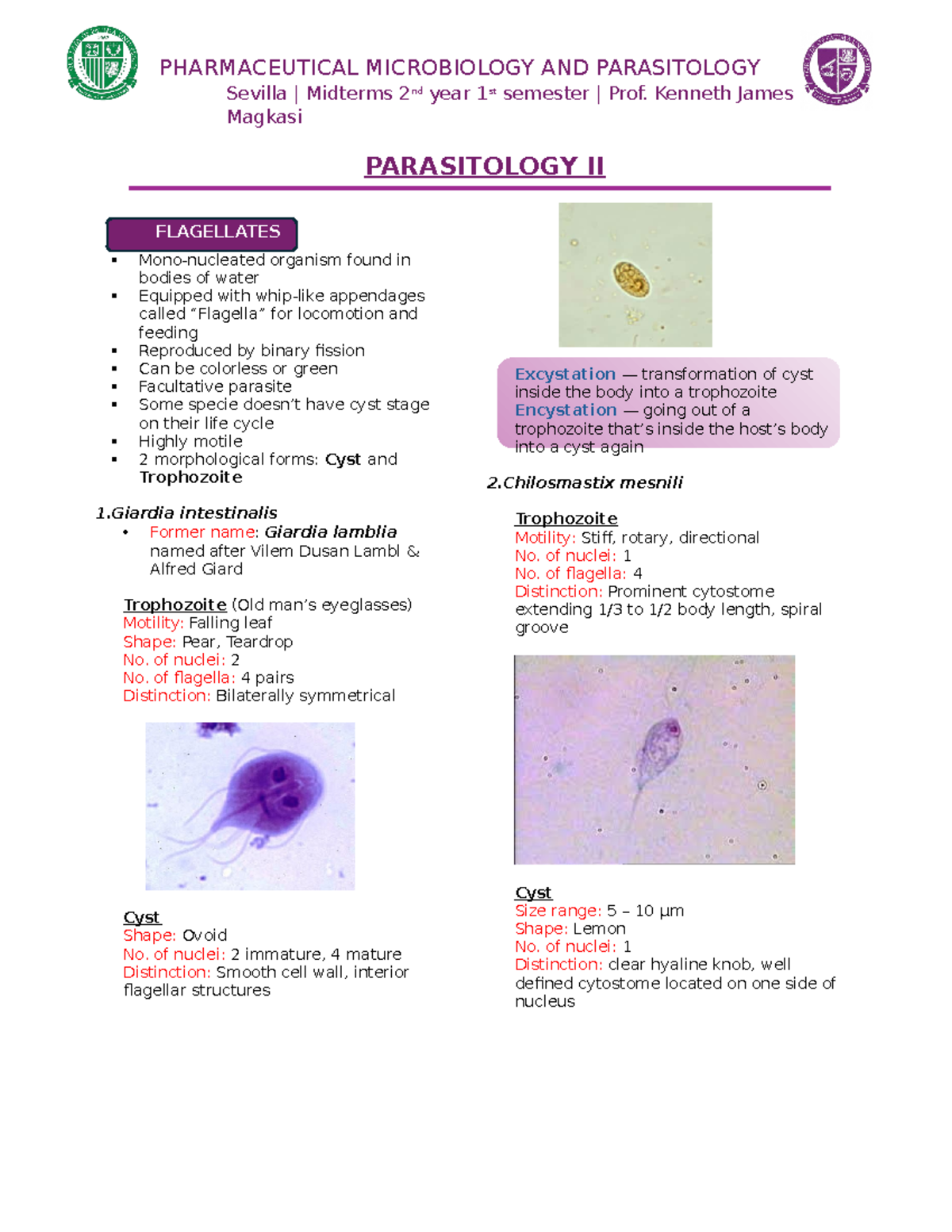 Parasitology II - Sevilla | Midterms 2nd year 1st semester | Prof ...