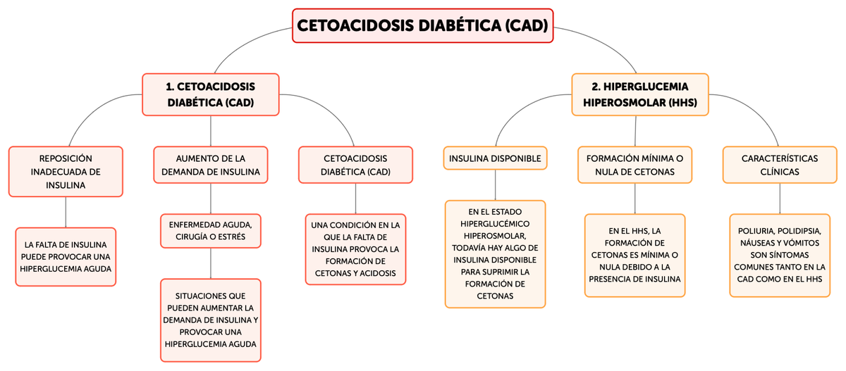 CAD y EHO - cad y echo - CETOACIDOSIS DIABÉTICA (CAD) 1. CETOACIDOSIS 2 ...
