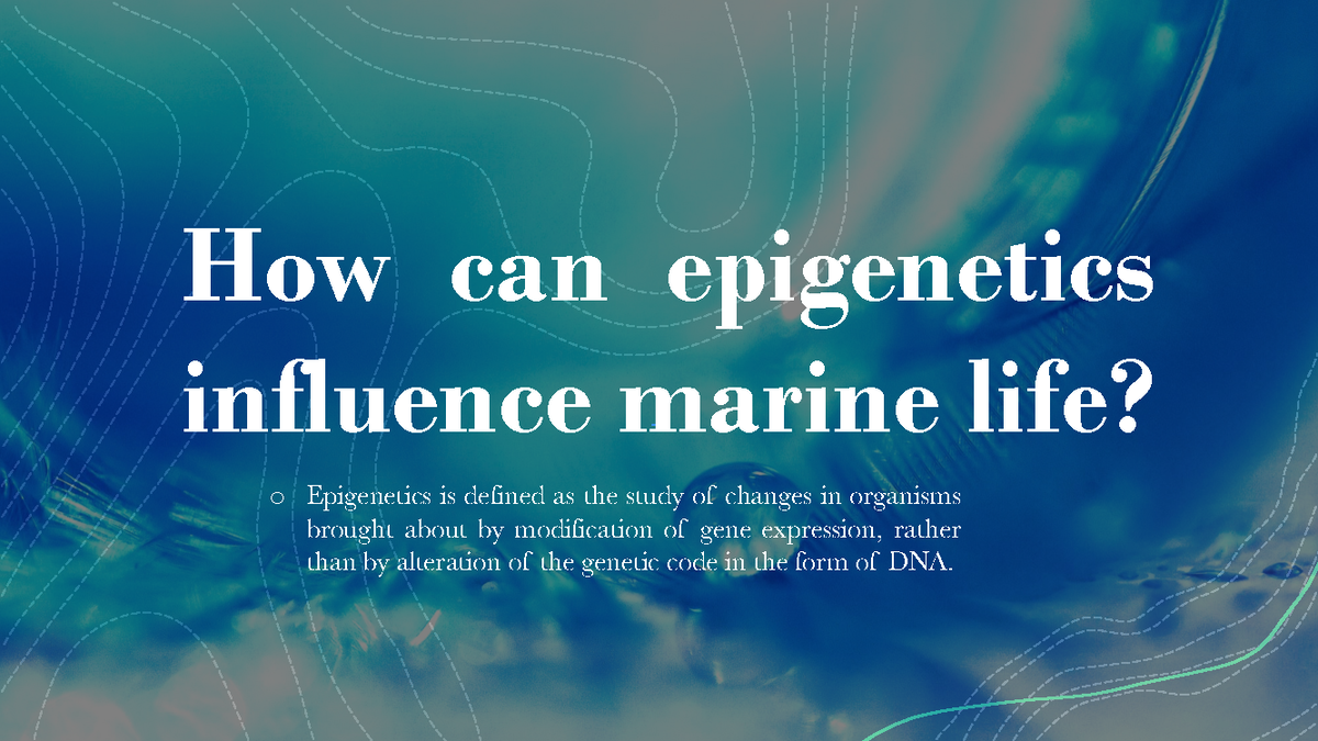 Tedtalk - PowerPoint presentation of 'How can epigenetic influence ...