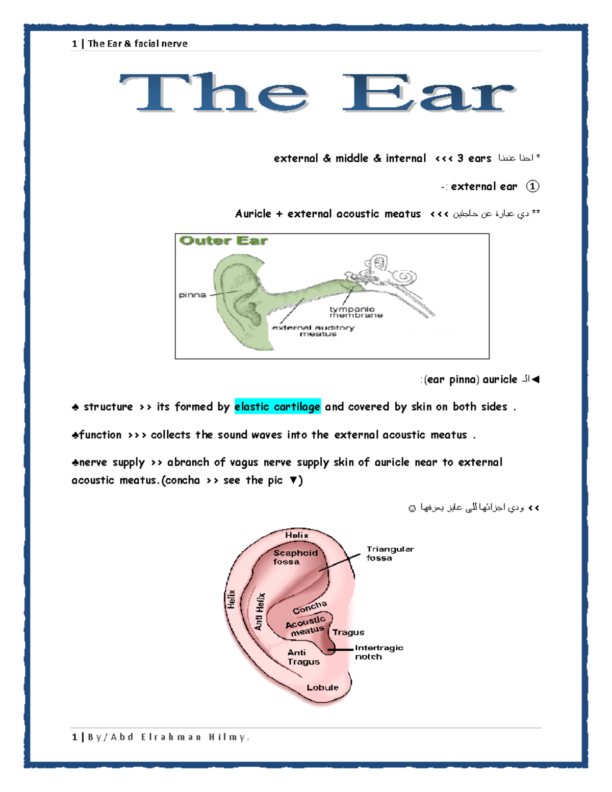 Anatomy of the ear - external & middle & internal