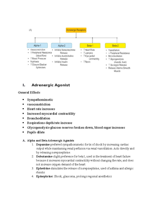 ATI Pharm Notes - Drugs + Antidotes - Acetaminophen - Acetylcysteine ...