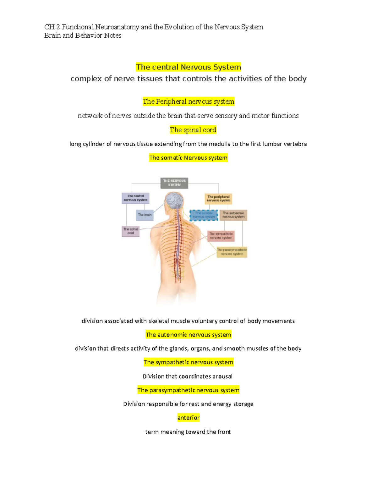 CH 2 Brain and Behavior Notes - Brain and Behavior Notes The central ...