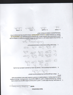 Sickle Cell Packet - Worksheet - BIO 201 - Studocu
