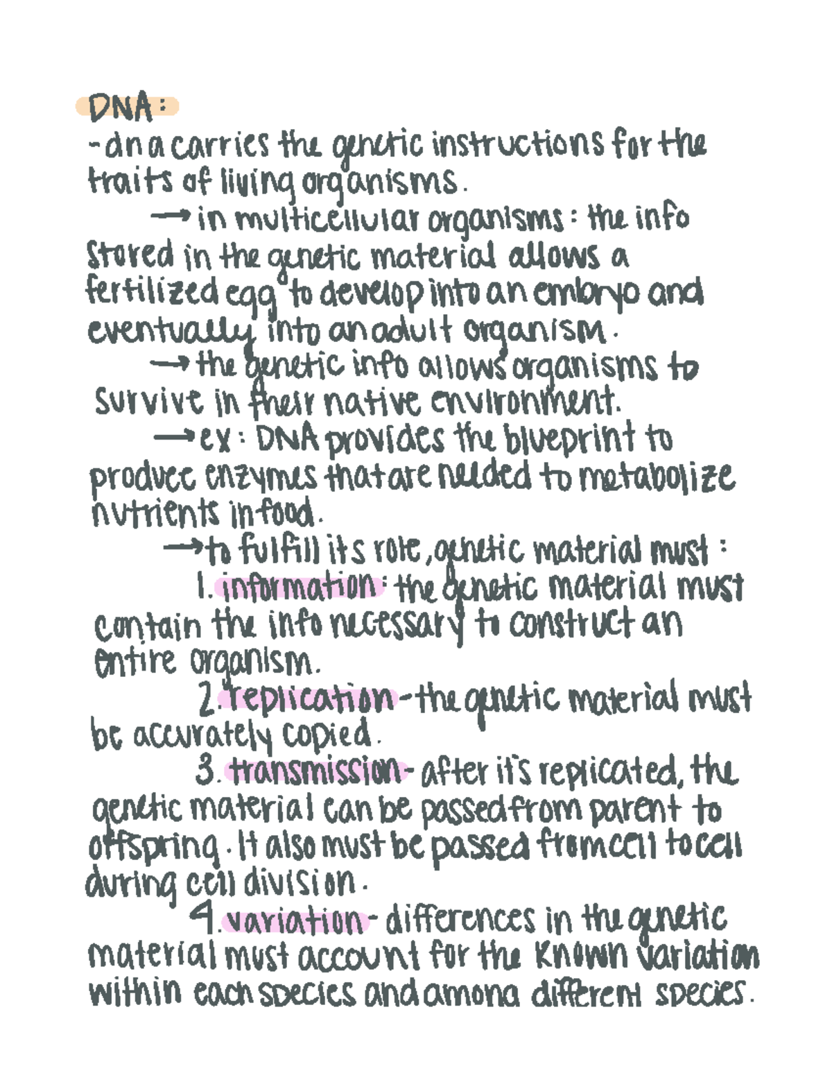 Mcbchapter 11 - Chapter 11 from book required for mcb 150 - DNA d n a ...