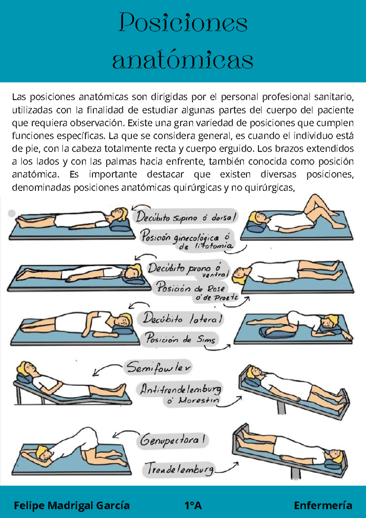 Infografia Posiciones Anatomicas - Las posiciones anatómicas son dirigidas por el personal - Studocu
