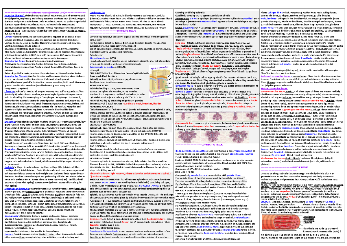 midsem cheat sheet - —-The eleven systems (MURDER LINC)- Muscular ...