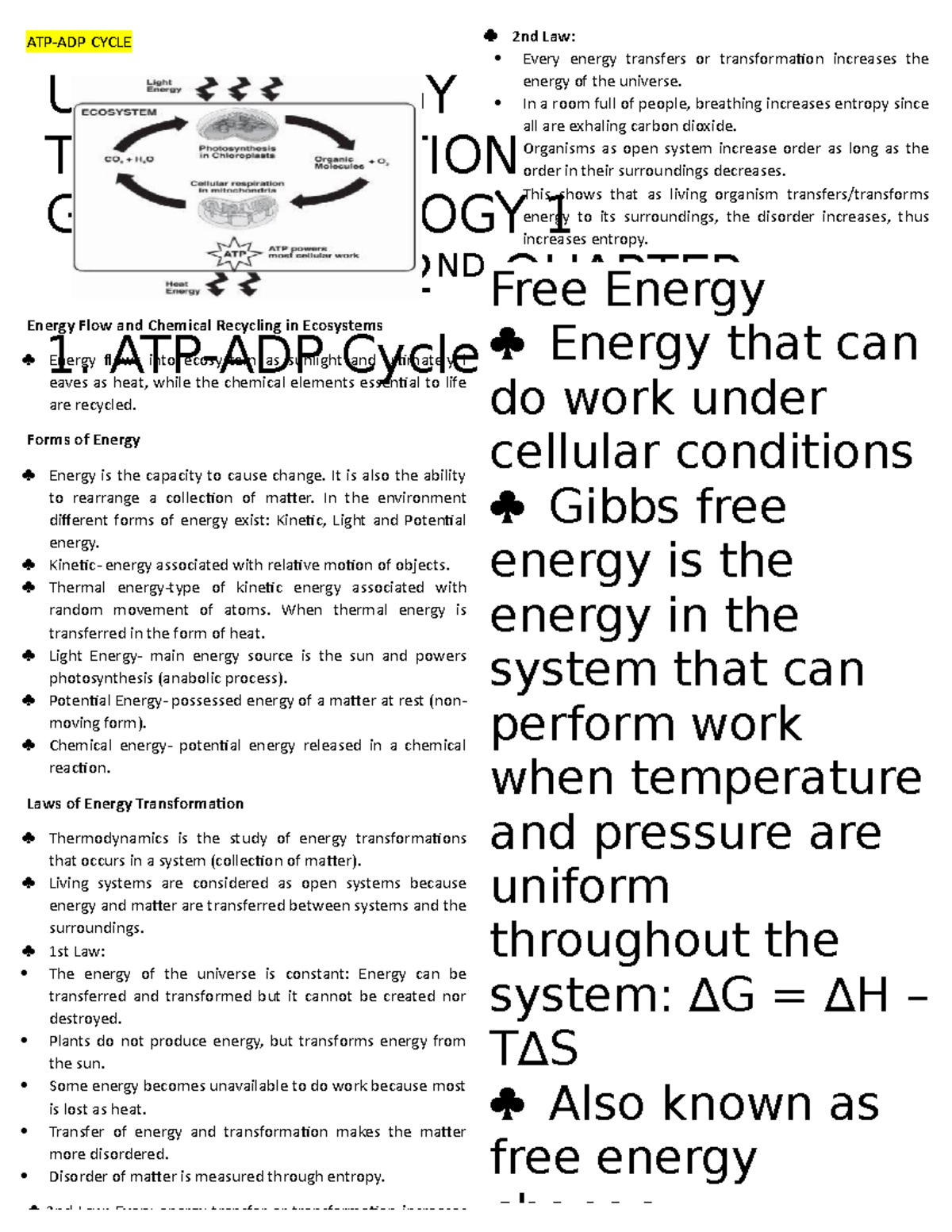 ATP-ADP- Cycle - ddcs - UNIT 3: ENERGY TRANSFORMATION GENERAL BIOLOGY 1 ...