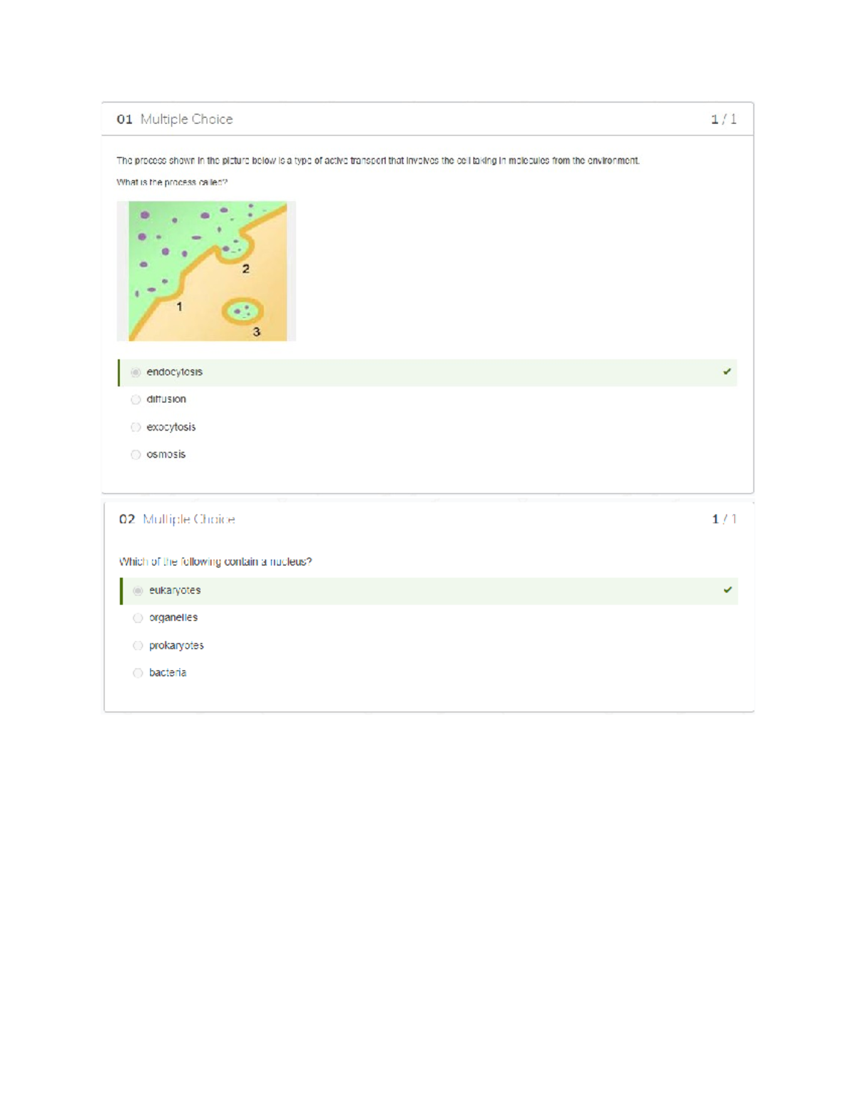 HON Unit 3 Biology Test - 01 Multiple Choice The process shown in the ...