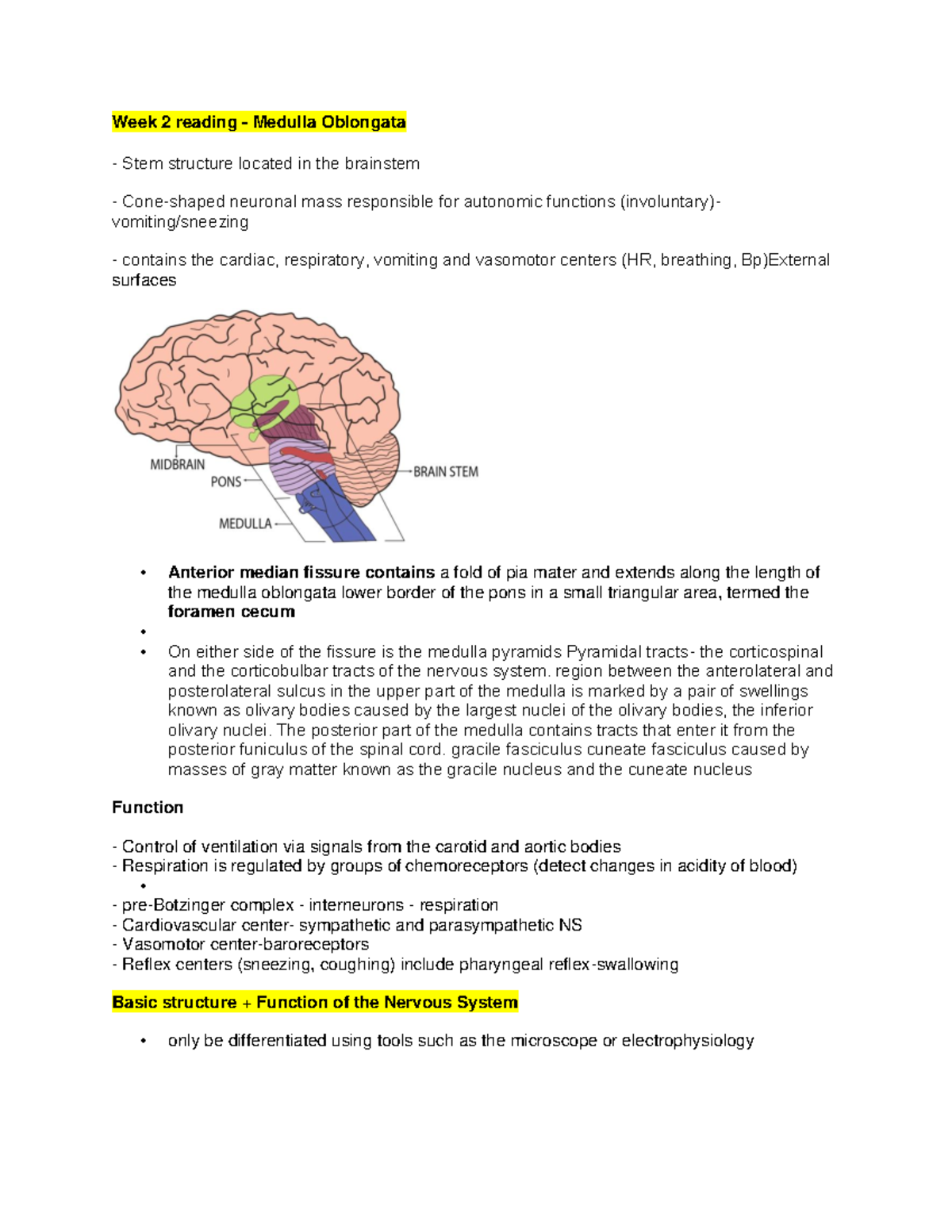 Week 2 reading - Medulla Oblongata lec notes - Week 2 reading - Medulla ...