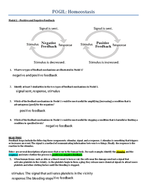 Kami Export - William Beltran - Homeostasis Graphing Activity ...