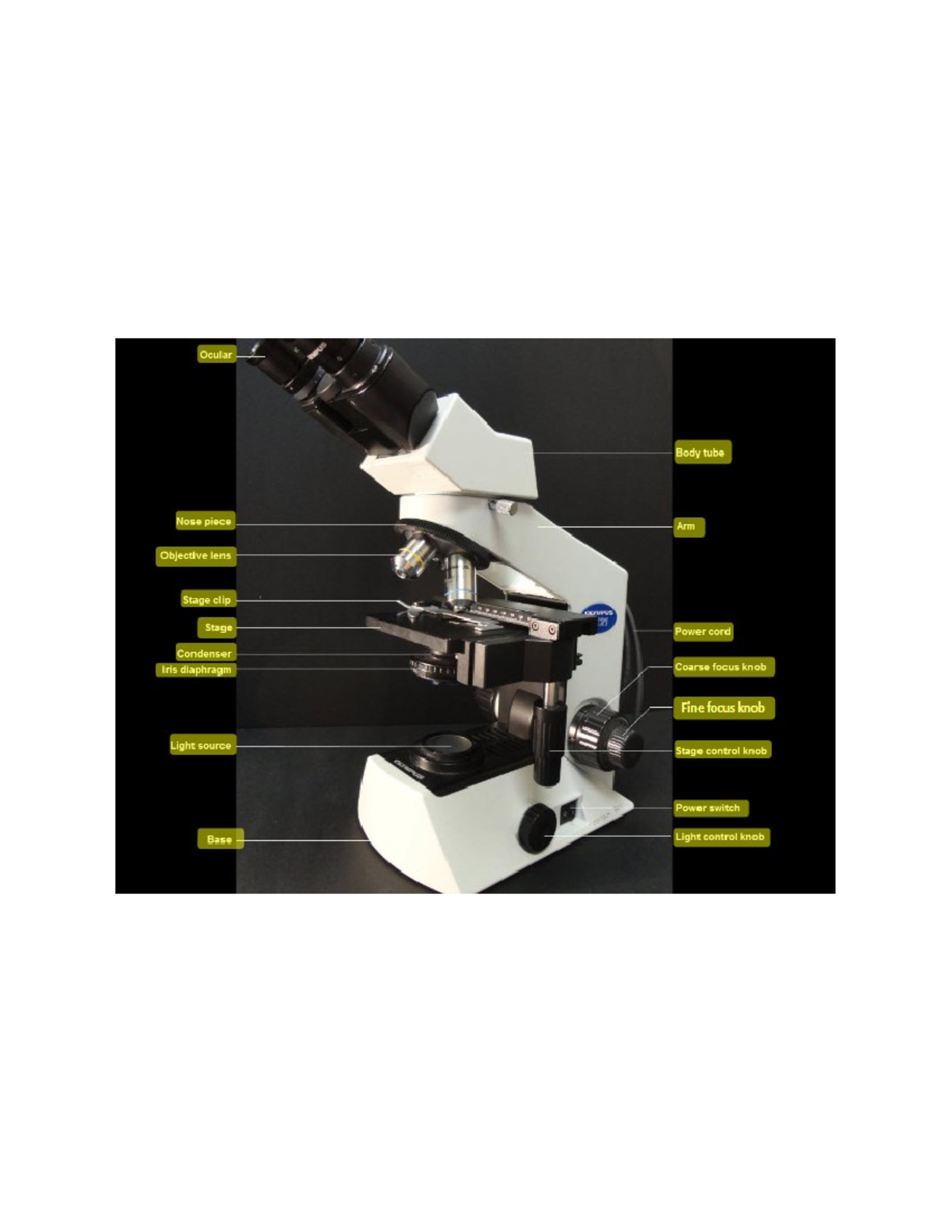 Microscope - BSC2085L - Ocular Body tube Nose piece Arm Objective lens ...