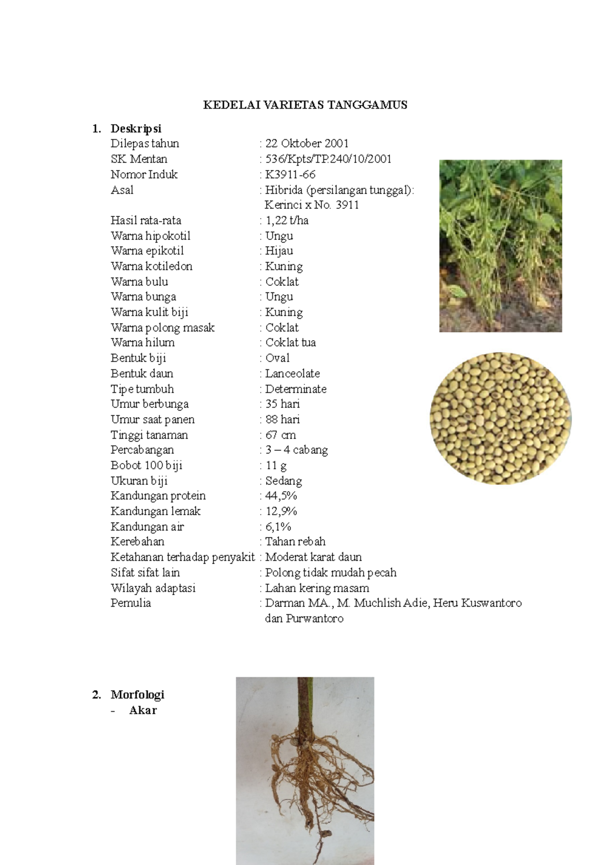 Deskripsi Kedelai Tanggamus - KEDELAI VARIETAS TANGGAMUS Deskripsi Dilepas tahun : 22 Oktober ...