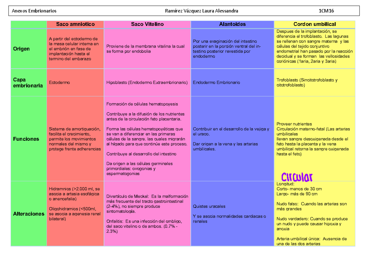Anexos embrionarios - Saco amniotico Saco Vitelino Alantoides Cordon ...